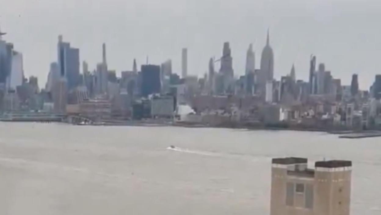 Letelici ponestalo goriva pre nego što se srušila: Novi uznemiravajući snimak pada helikoptera u ...